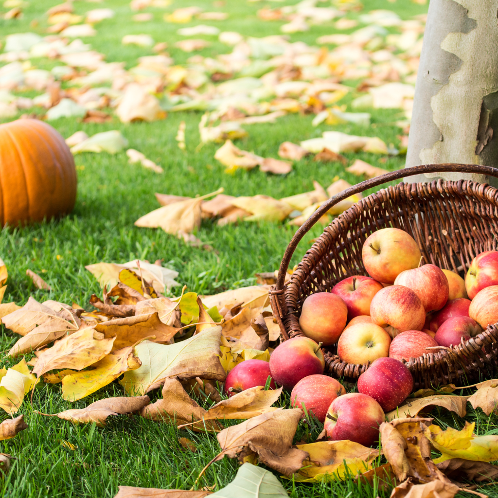 5 bonnes raisons de partir au Canada en Automne | Blog d'American ...